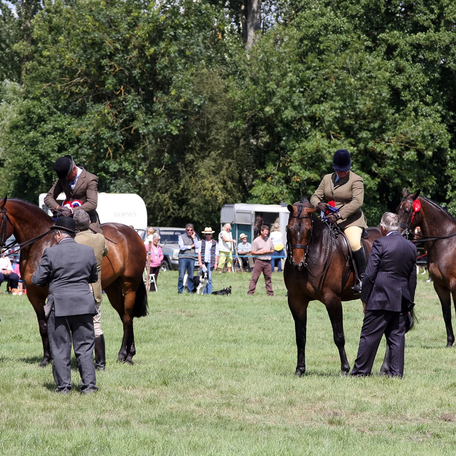The Ryedale Show - Home