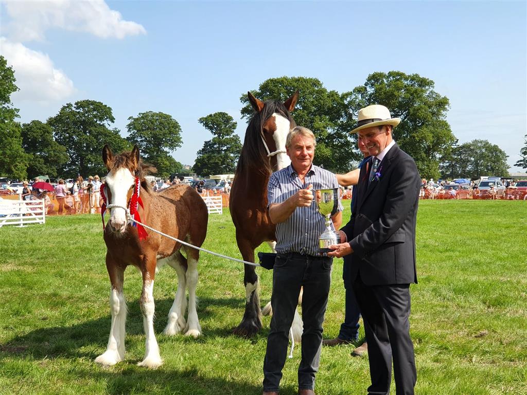 The Ryedale Show - 2019