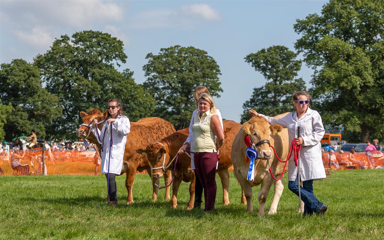 The Ryedale Show - 2019