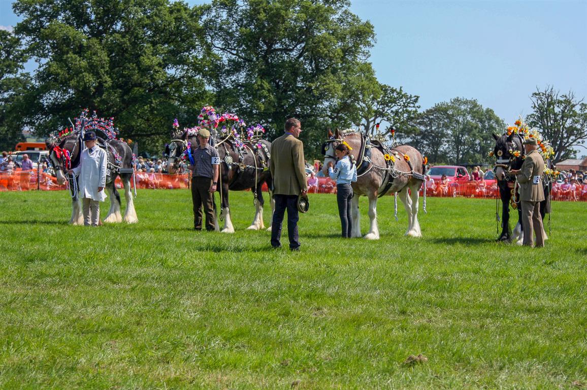 The Ryedale Show - 2019