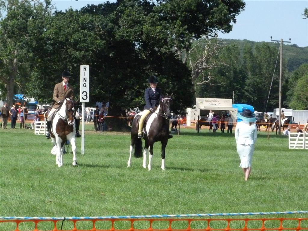 The Ryedale Show - 2019