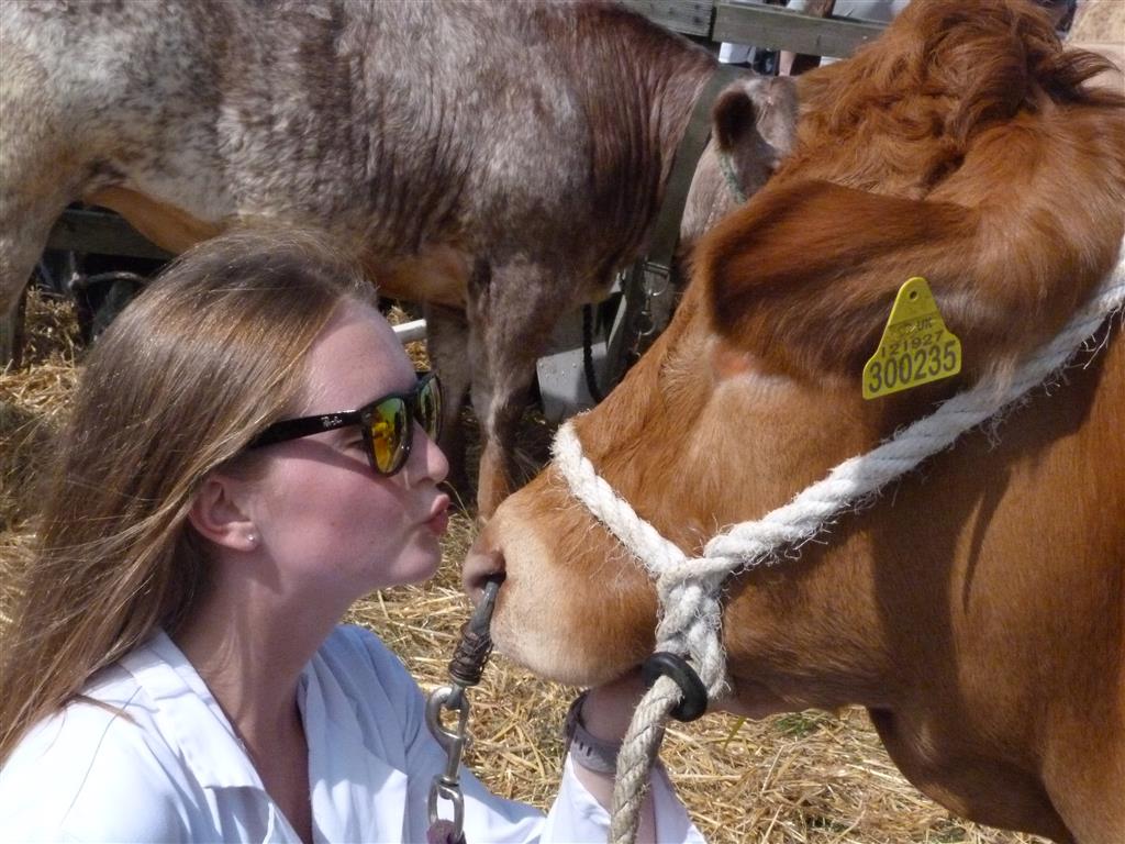 The Ryedale Show - 2019