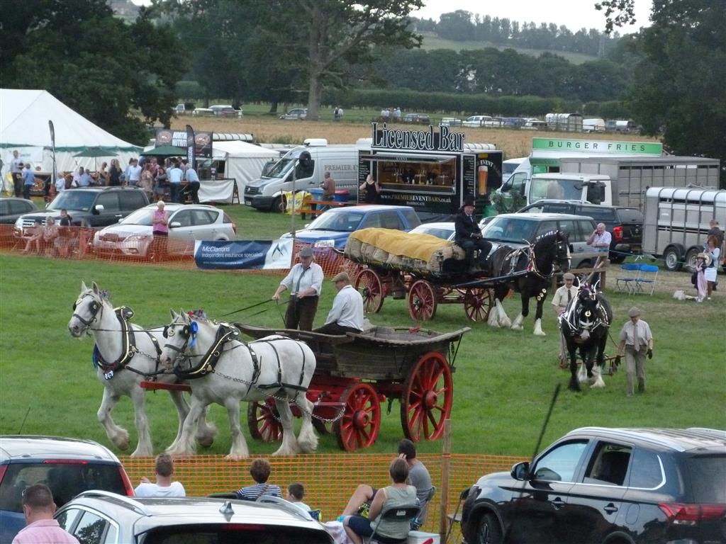 The Ryedale Show - 2019